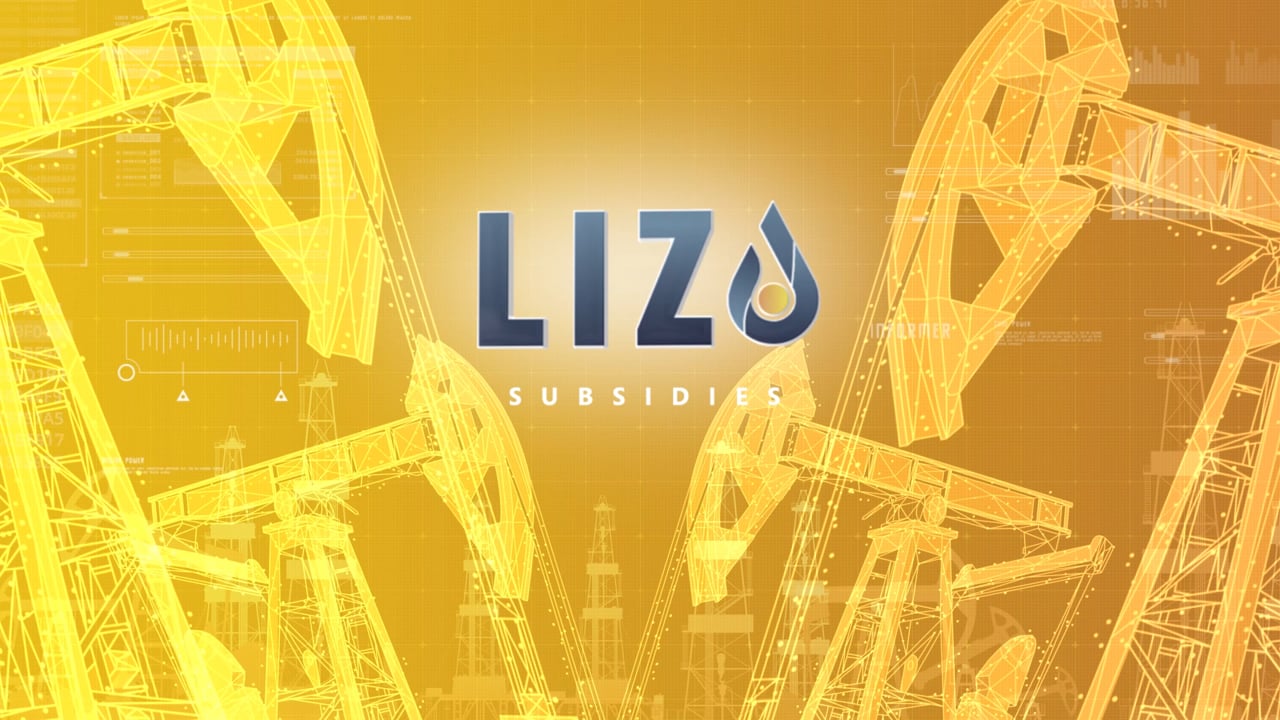 Lizo | Digital transformation in the oil & gas industry: seamless ...